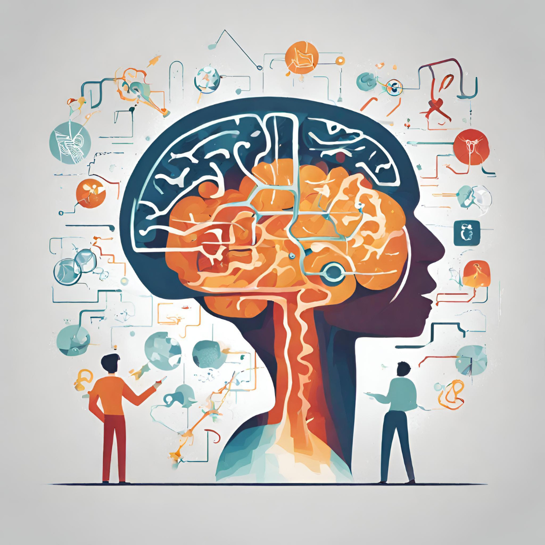 Neuroscientific Insights: How Brain Structure and Function Relate to ...